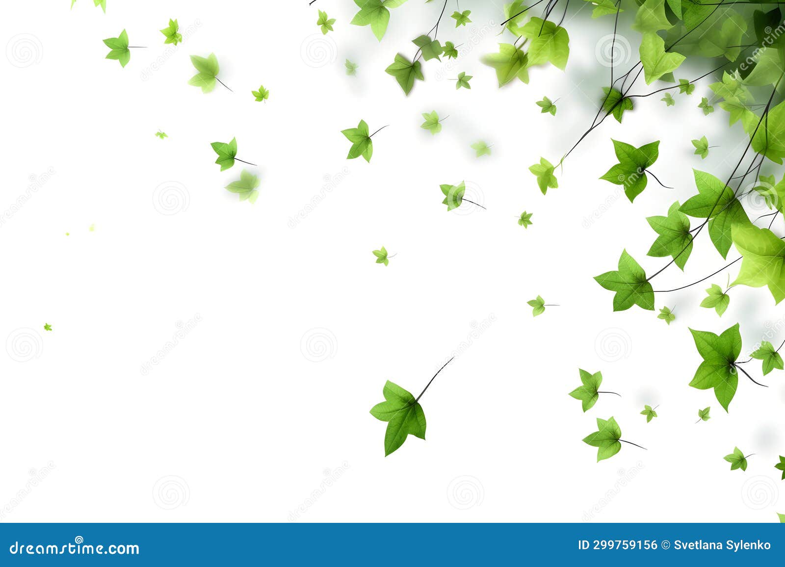 Falling Green Leaves Isolated on a White Background. Spring Foliage ...