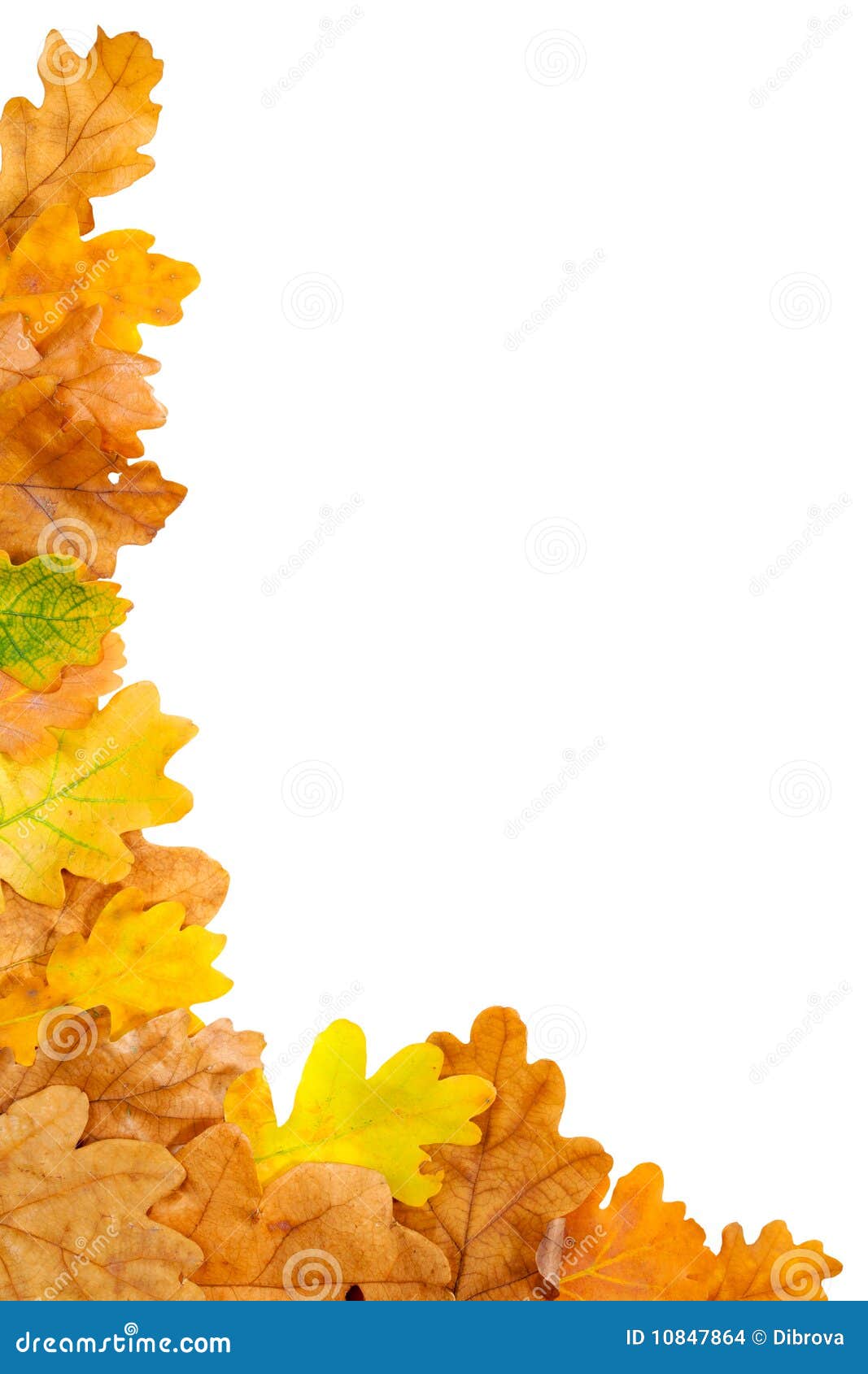 Falling leaf frame stock photo. Image of season, element - 10847864