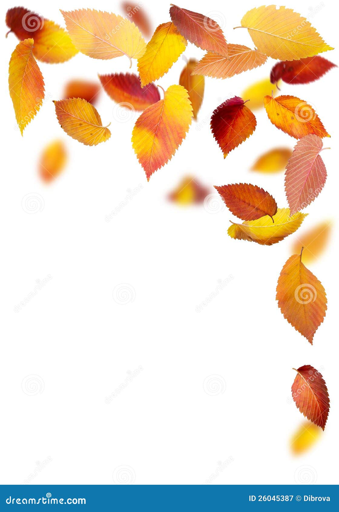 Falling Leaf Frame stock image. Image of copy, macro - 26045387