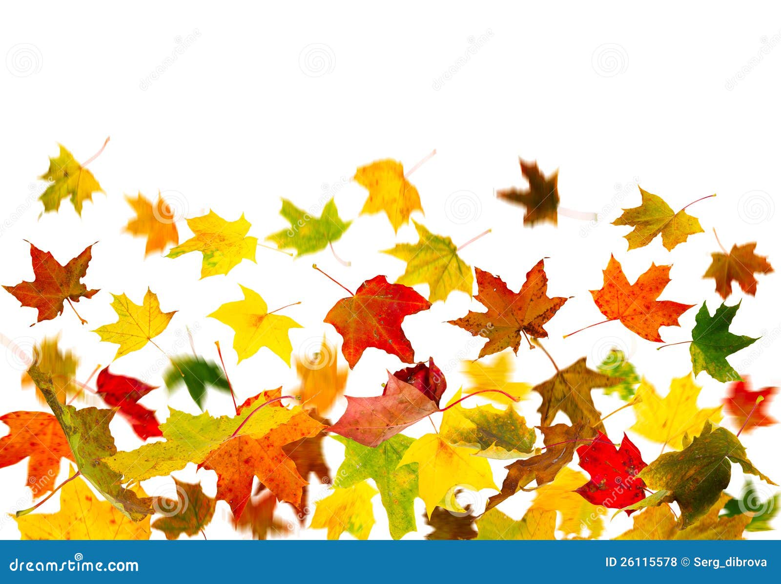 Falling leaves stock photo. Image of maple, october, space - 26115578