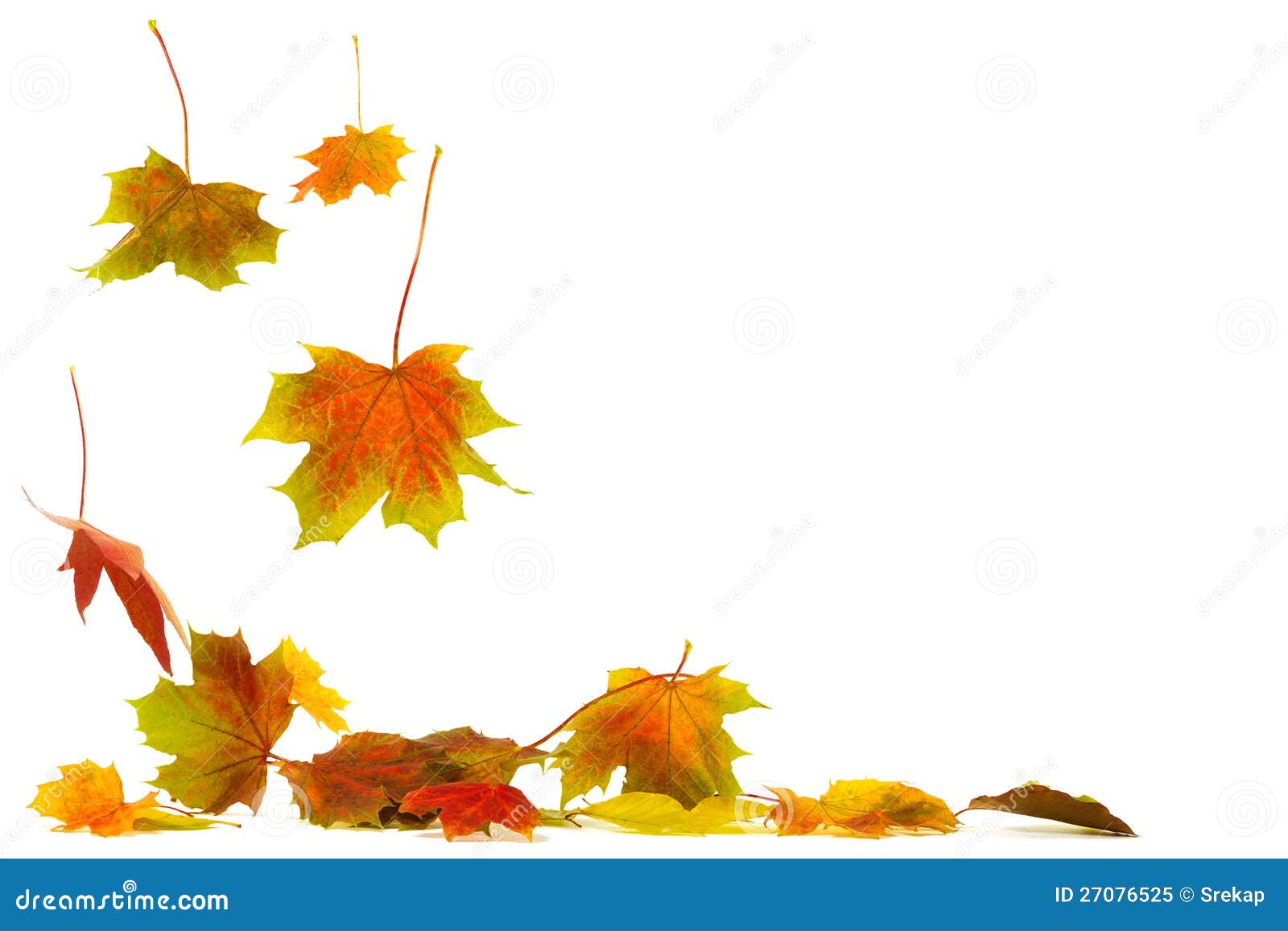 Falling Leaves Royalty-Free Stock Photography | CartoonDealer.com #78106931