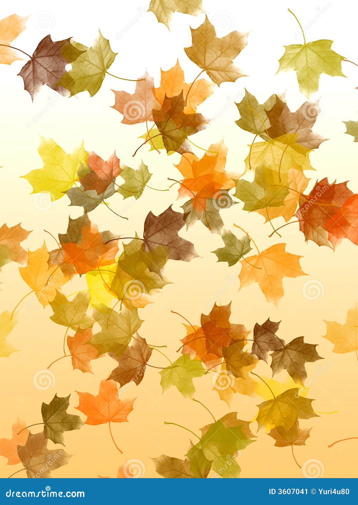 Falling leaves stock illustration. Illustration of floral - 3607041