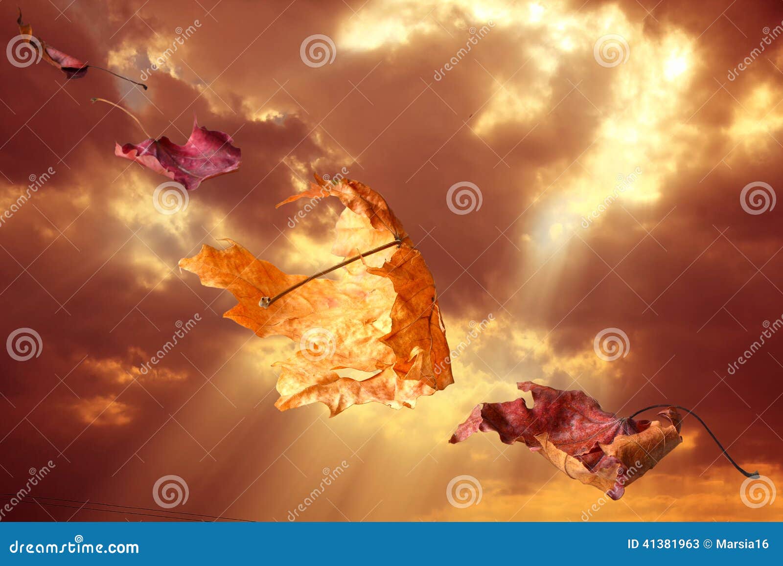 Falling Leaves in Autumn at Sunset Stock Image - Image of evening ...