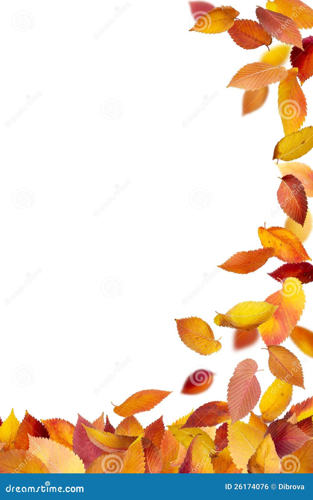 Falling Leaves Frame stock photo. Image of falling, foliage - 26174076