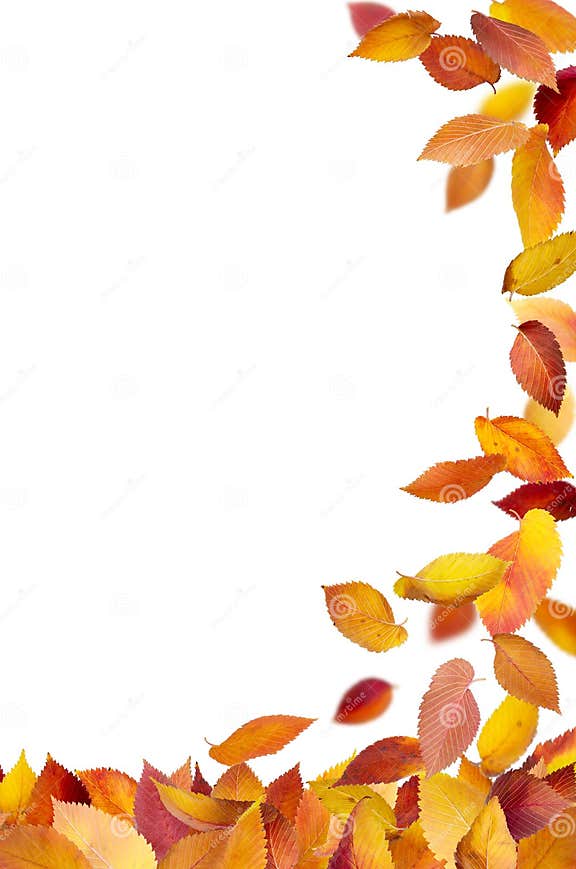Falling Leaves Frame stock photo. Image of falling, foliage - 26174076