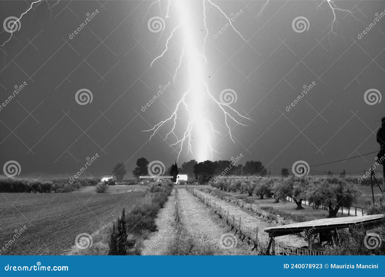 Falling Lightning in Black and White Stock Image - Image of lightning ...