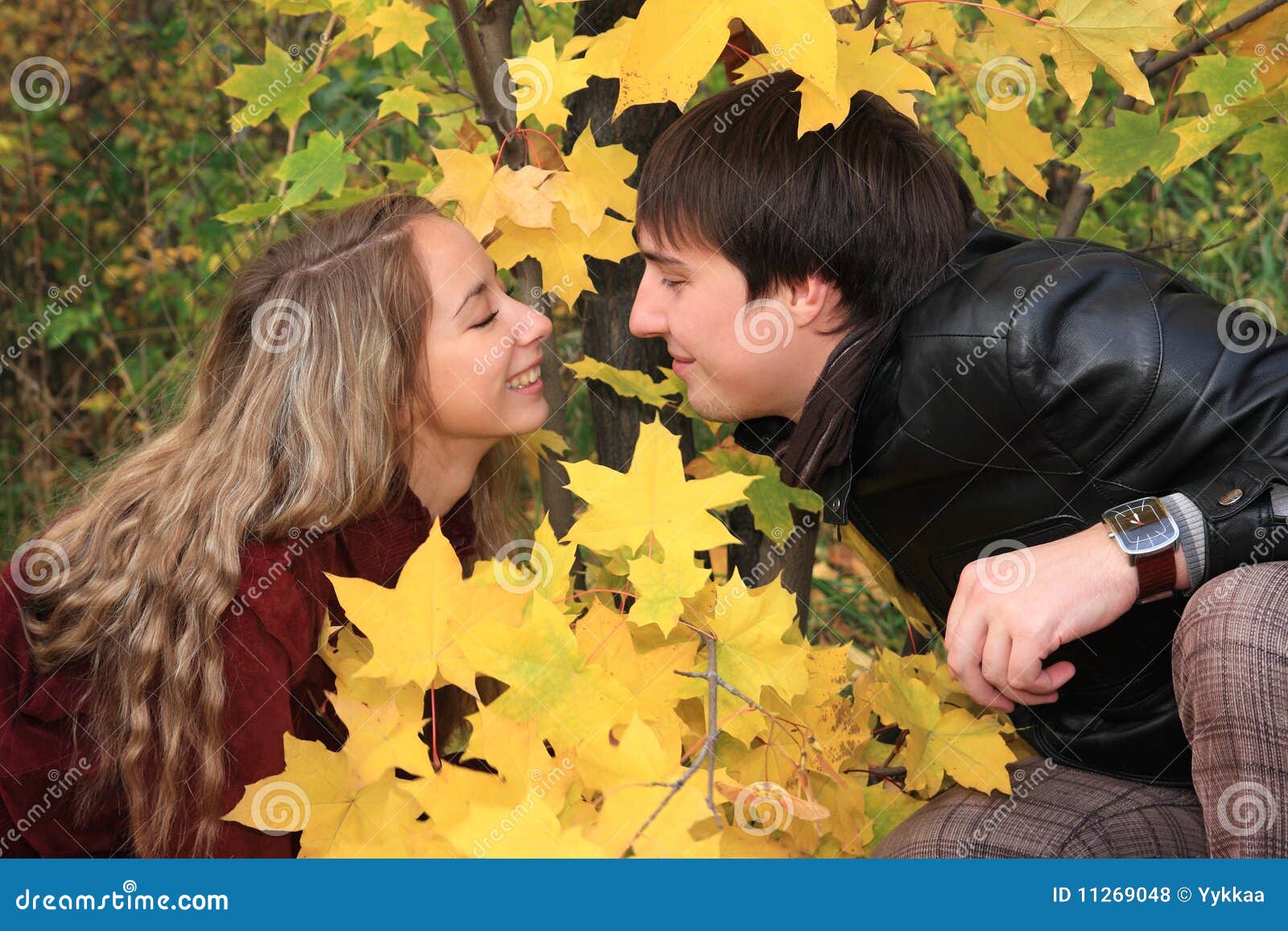 Falling in love. stock photo. Image of girl, autumn, pair - 11269048