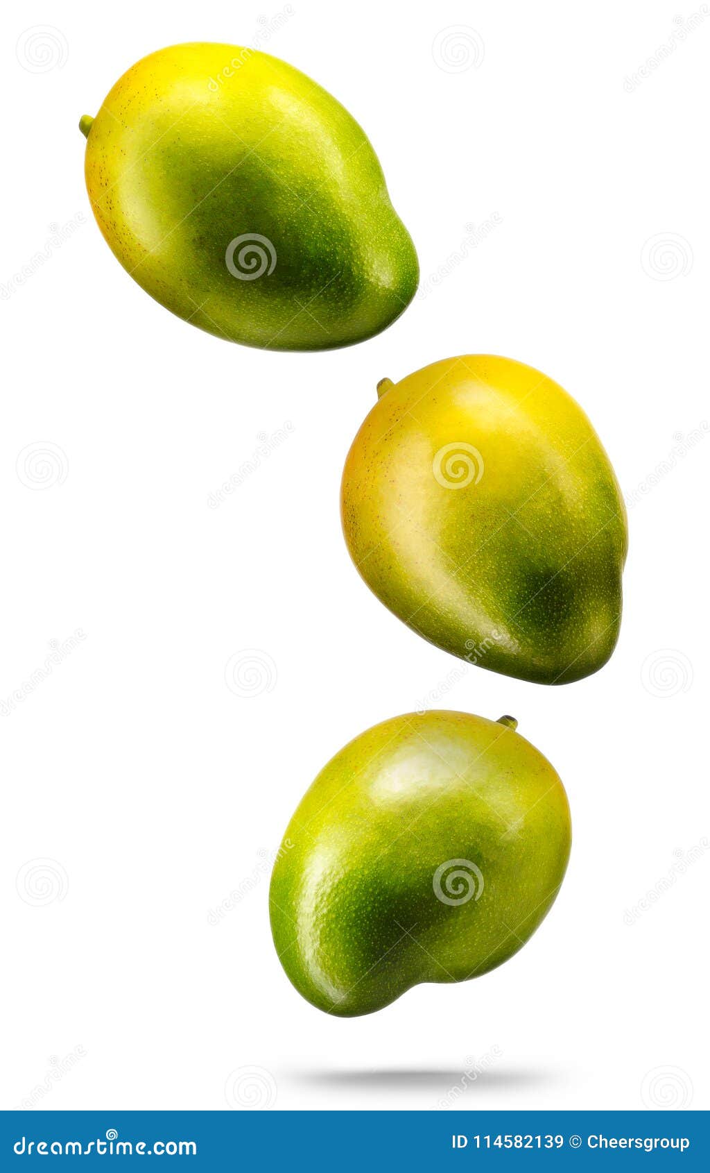 Falling Mangoes Fruit Isolated on White Background Stock Image - Image ...