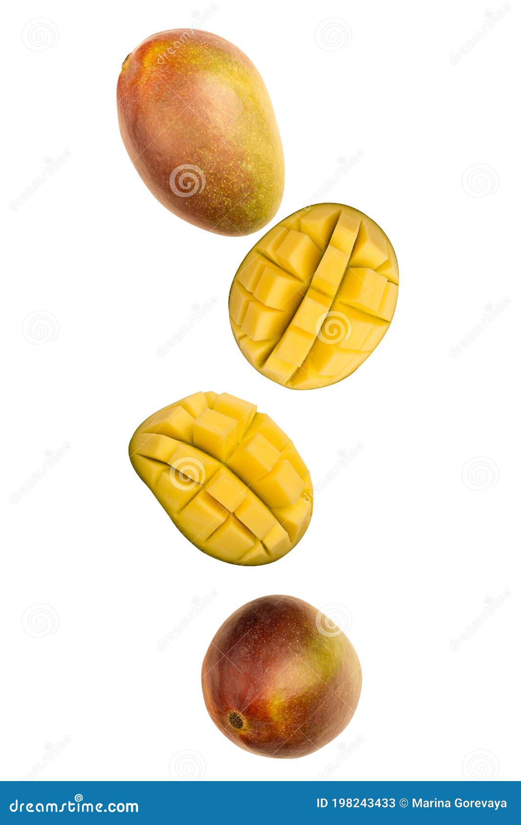 Falling Mangoes Stock Photos - Free & Royalty-Free Stock Photos from ...