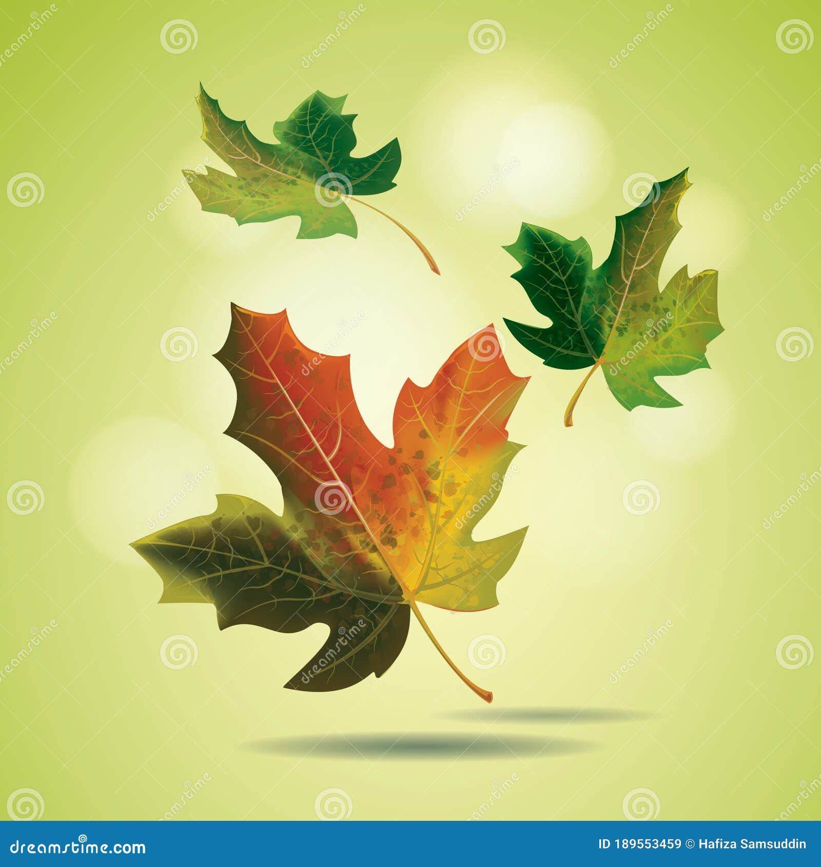Falling Maple Leaves. Vector Illustration Decorative Design Stock ...
