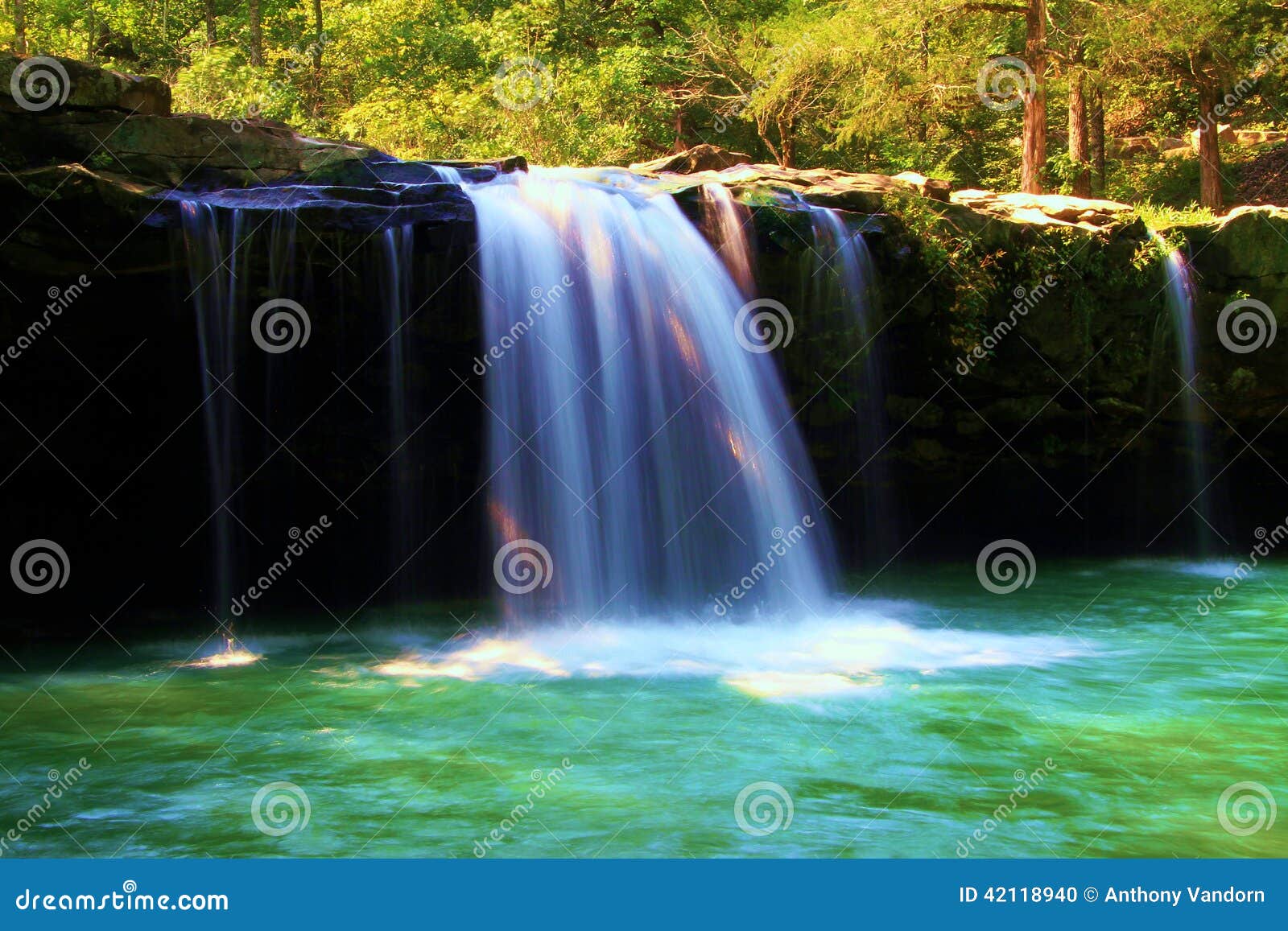 Natural Spring Background. White Cherry Flowers And Ladybug On A ...