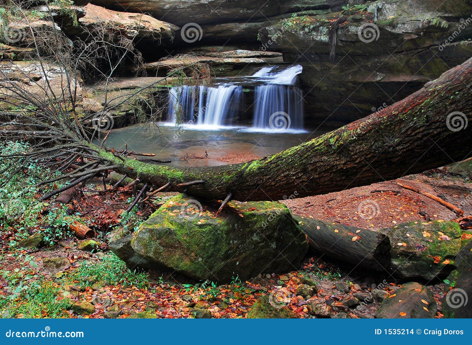 Falling in Nature stock photo. Image of falling, colorful - 1535214