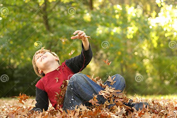 Falling over in the Fall stock photo. Image of foliage - 230182