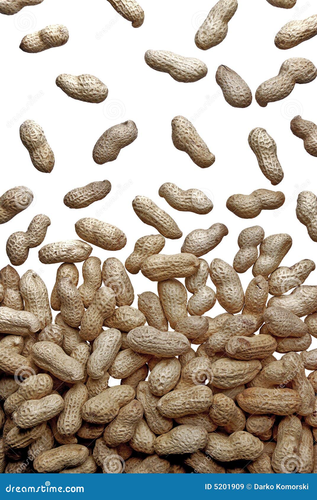 Falling peanuts stock image. Image of crunchy, nature - 5201909