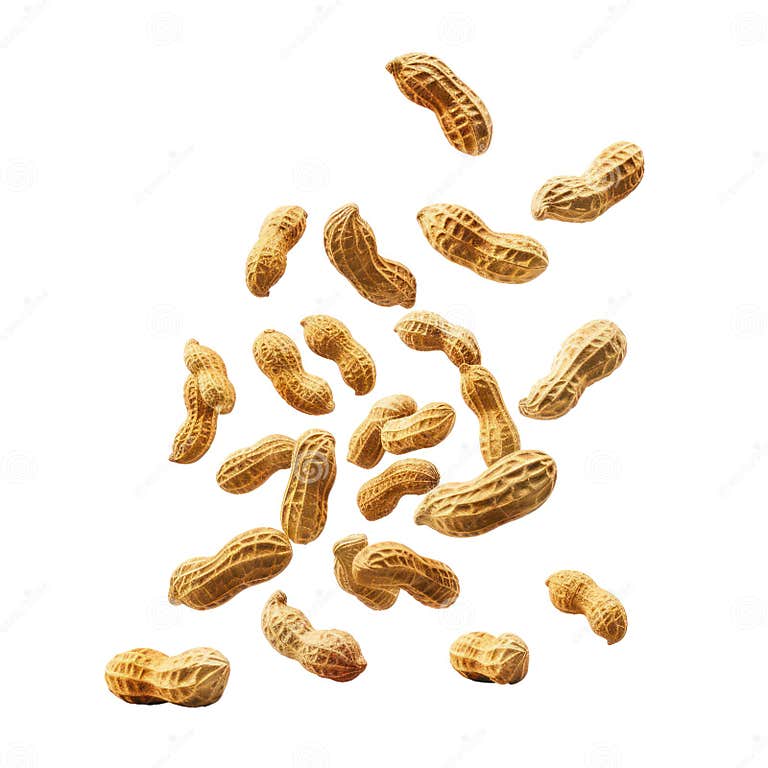 Falling peanuts isolate stock illustration. Illustration of healthy ...