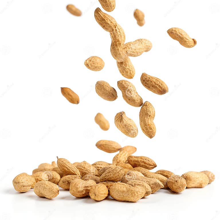 Falling Peanuts Isolated on White Background Stock Illustration ...
