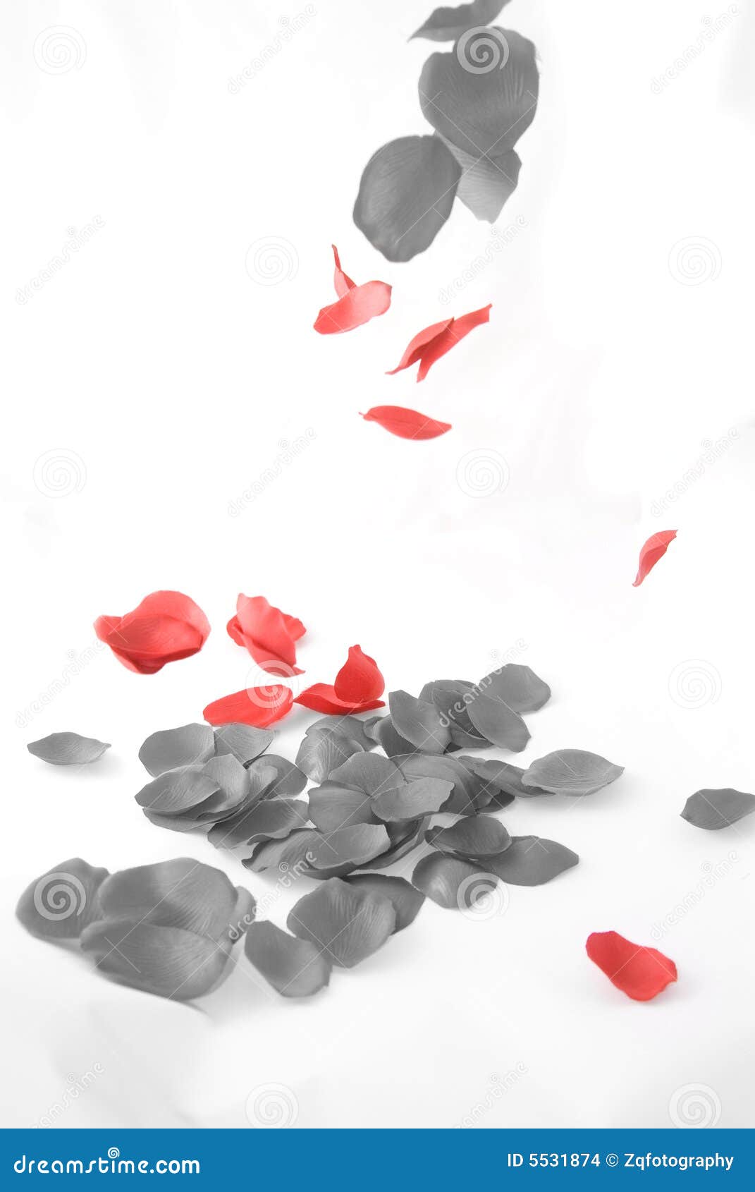 Falling Flower Petals Wallpapers