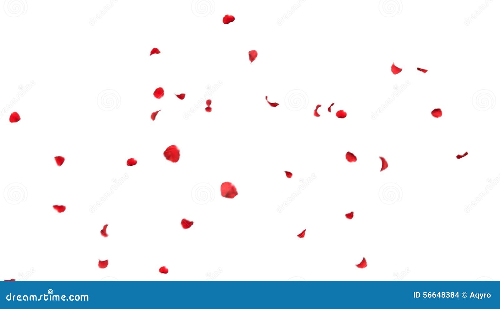 Falling Petals Roses 3d Animation Stock Footage - Video of flower ...