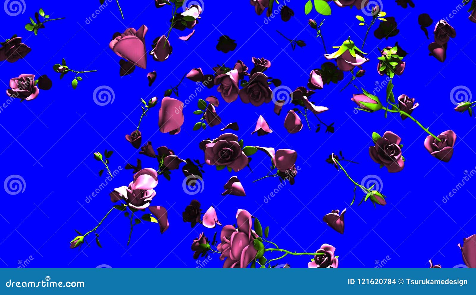 Falling Pink Roses on Blue Chroma Key Stock Footage - Video of blue ...