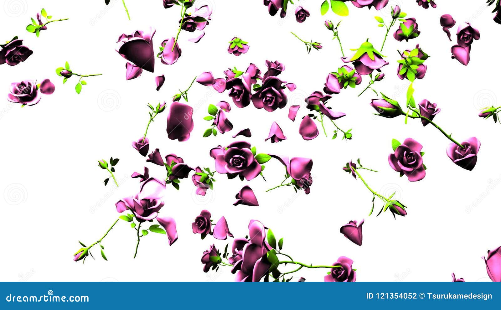 Falling Pink Roses on White Background Stock Footage - Video of ...