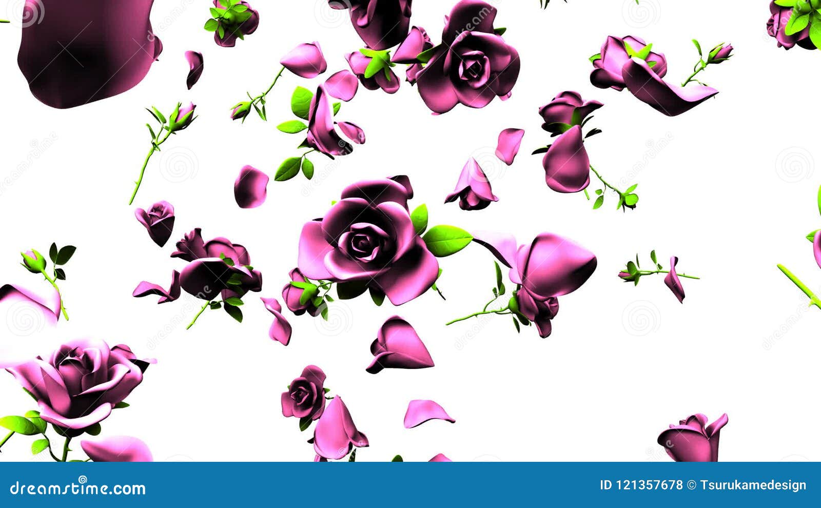 Falling Pink Roses on White Background Stock Footage - Video of lovely ...