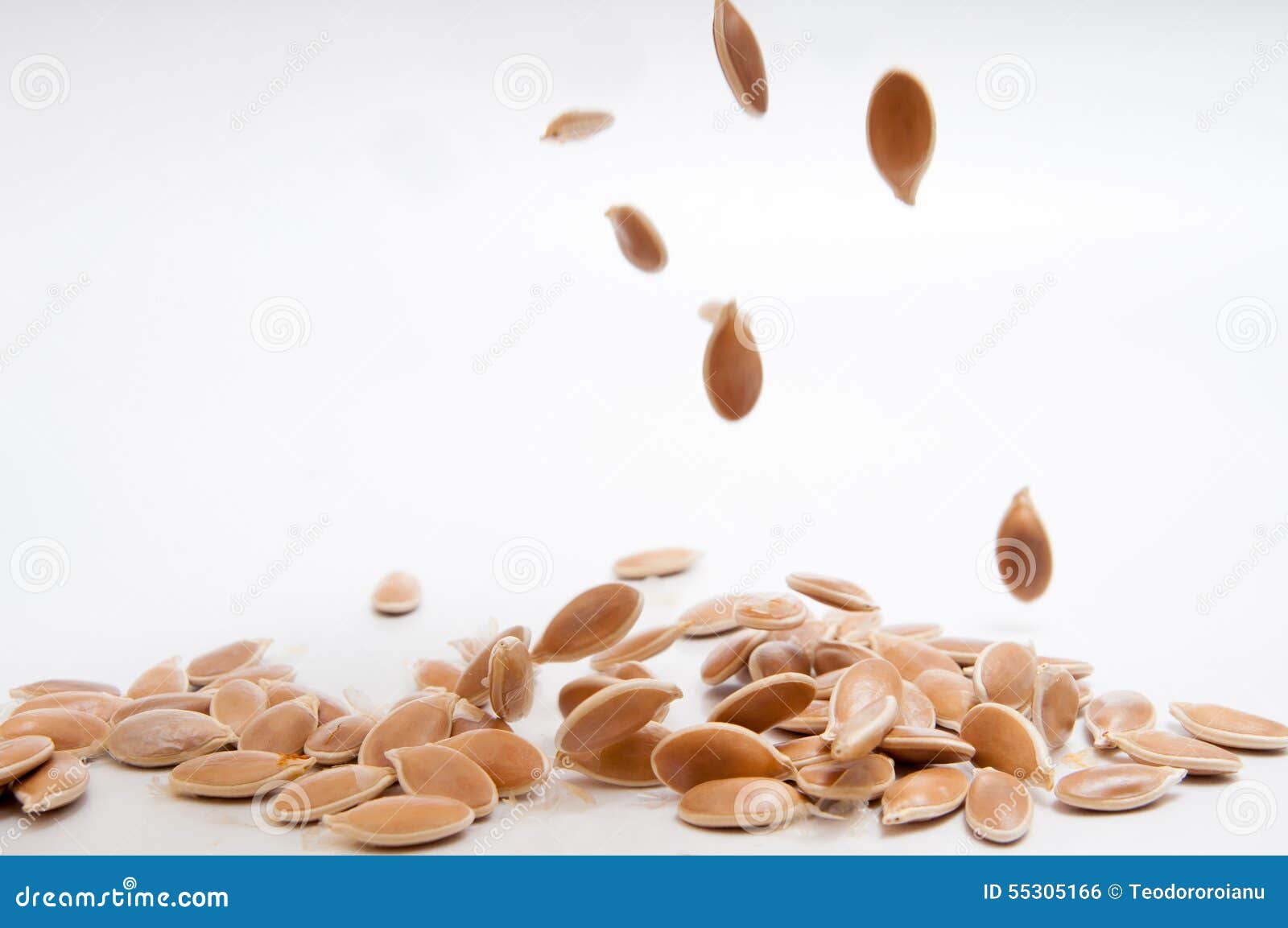 Falling pumkin seeds stock photo. Image of industry, grow - 55305166
