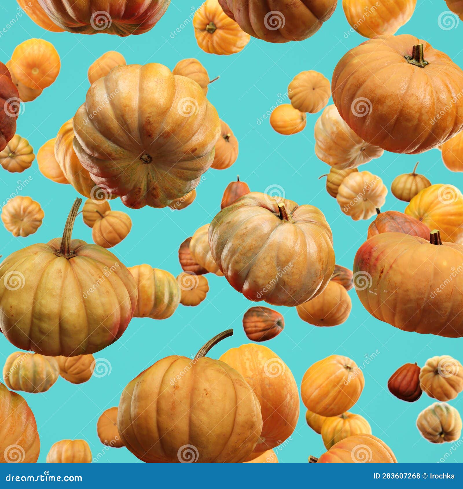 Falling Pumpkin Isolated on Blue Background, Selective Focus Stock ...
