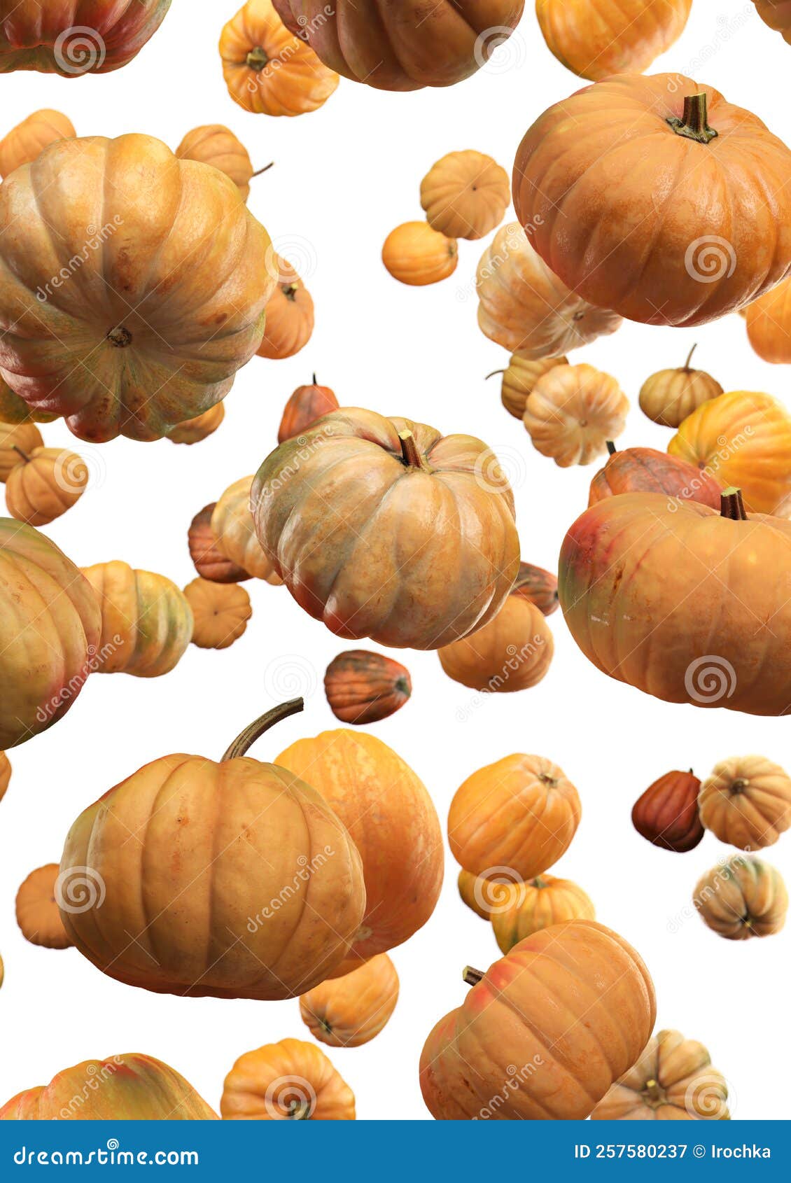 Falling Pumpkin Isolated on White Background, Selective Focus Stock ...