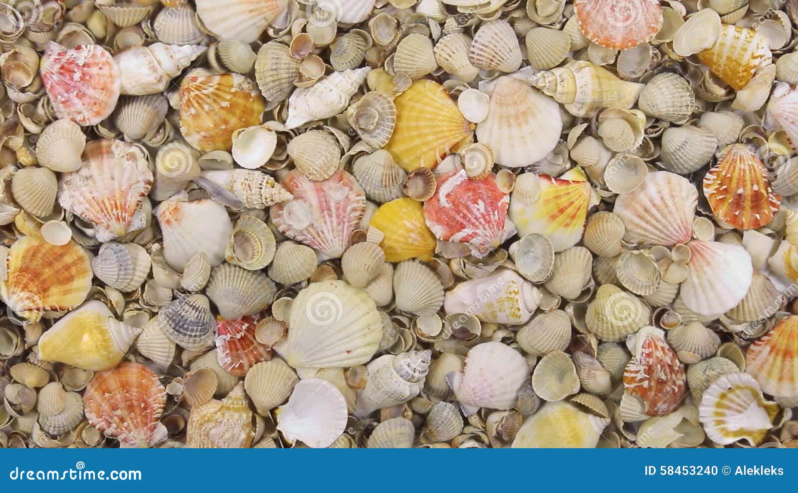 Falling Rain Drops in the Water with Sea Shells, Splash and Waves Stock ...