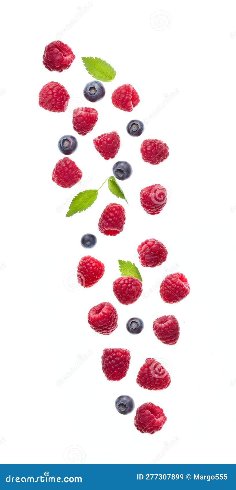 Falling Raspberry and Blueberry on White Backgrounds Stock Illustration ...
