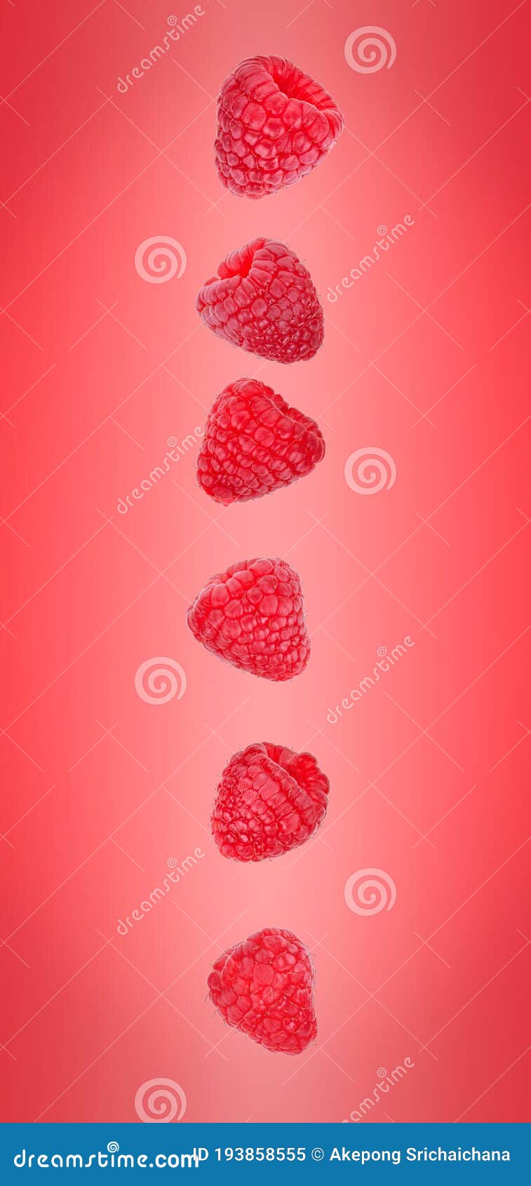 Falling Raspberry Isolated on Red Background Stock Image - Image of ...