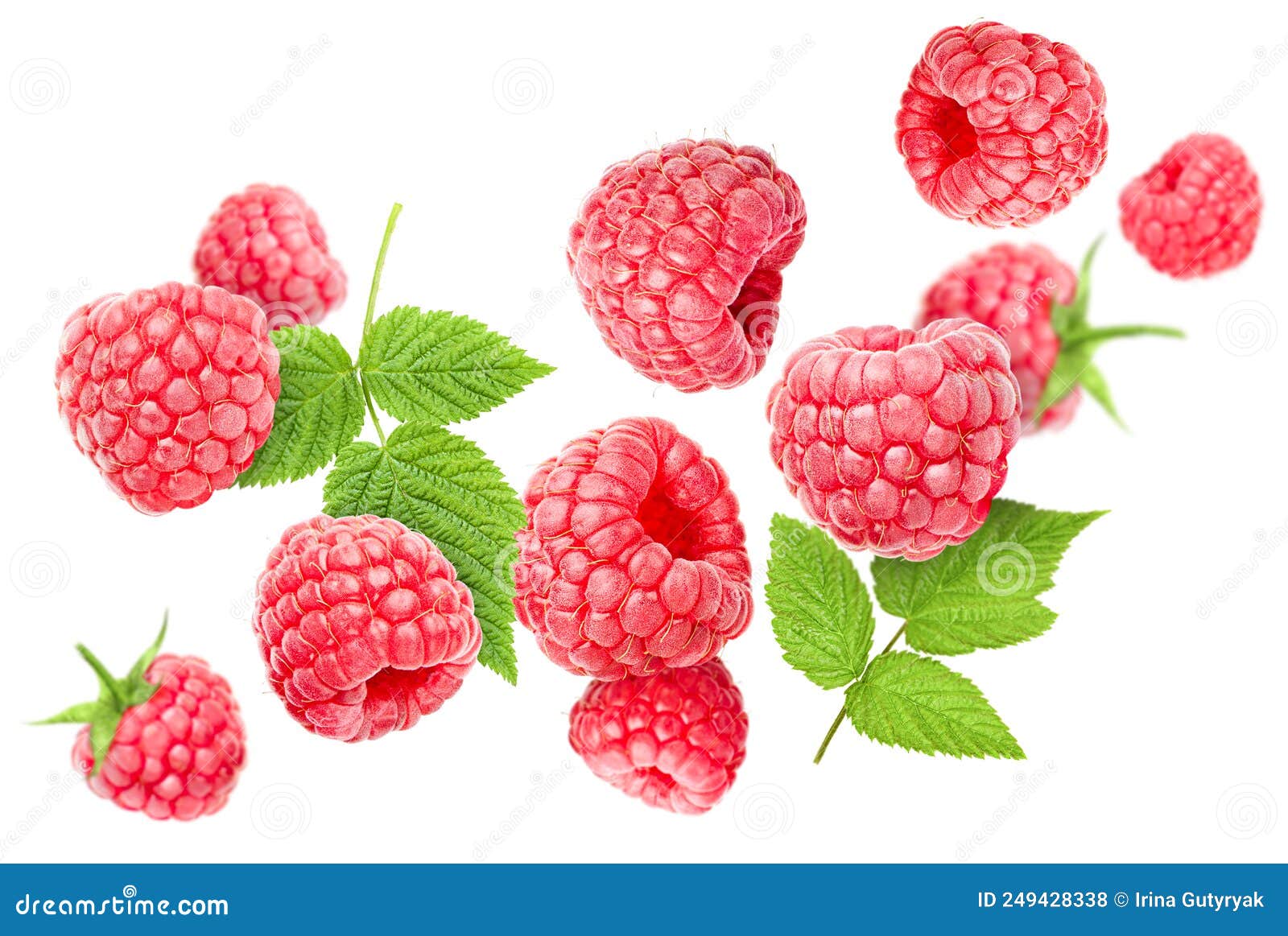 Falling raspberry stock photo. Image of isolated, healthy - 249428338