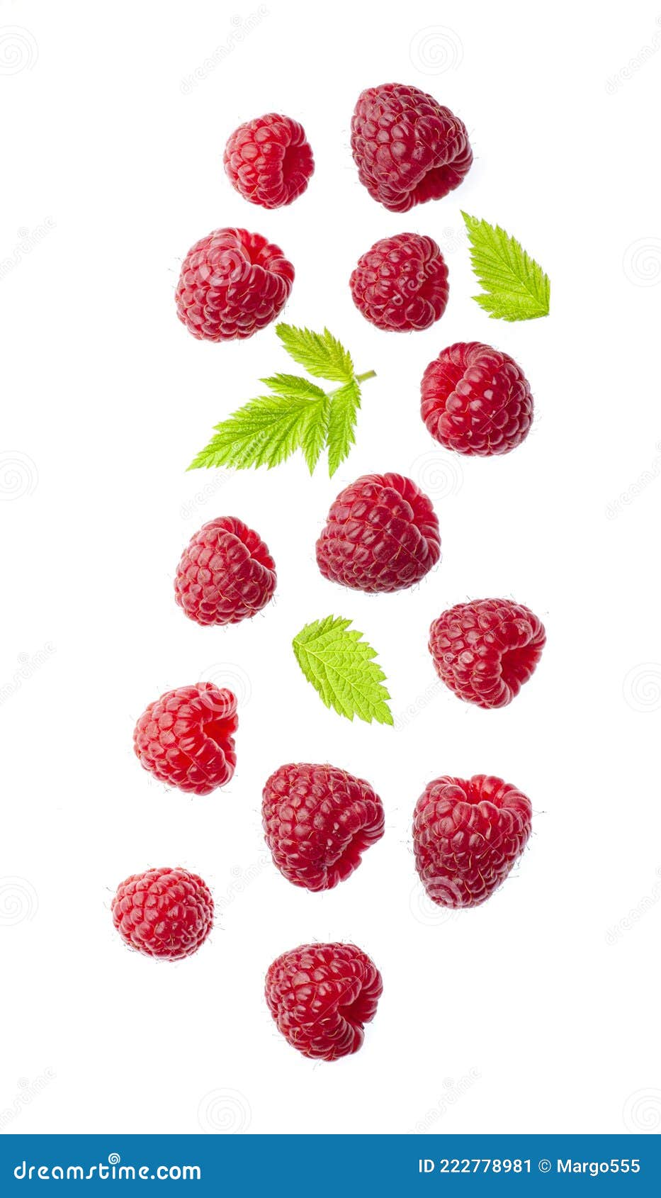 Falling Raspberry with Leaves Stock Image - Image of antioxidant, food ...