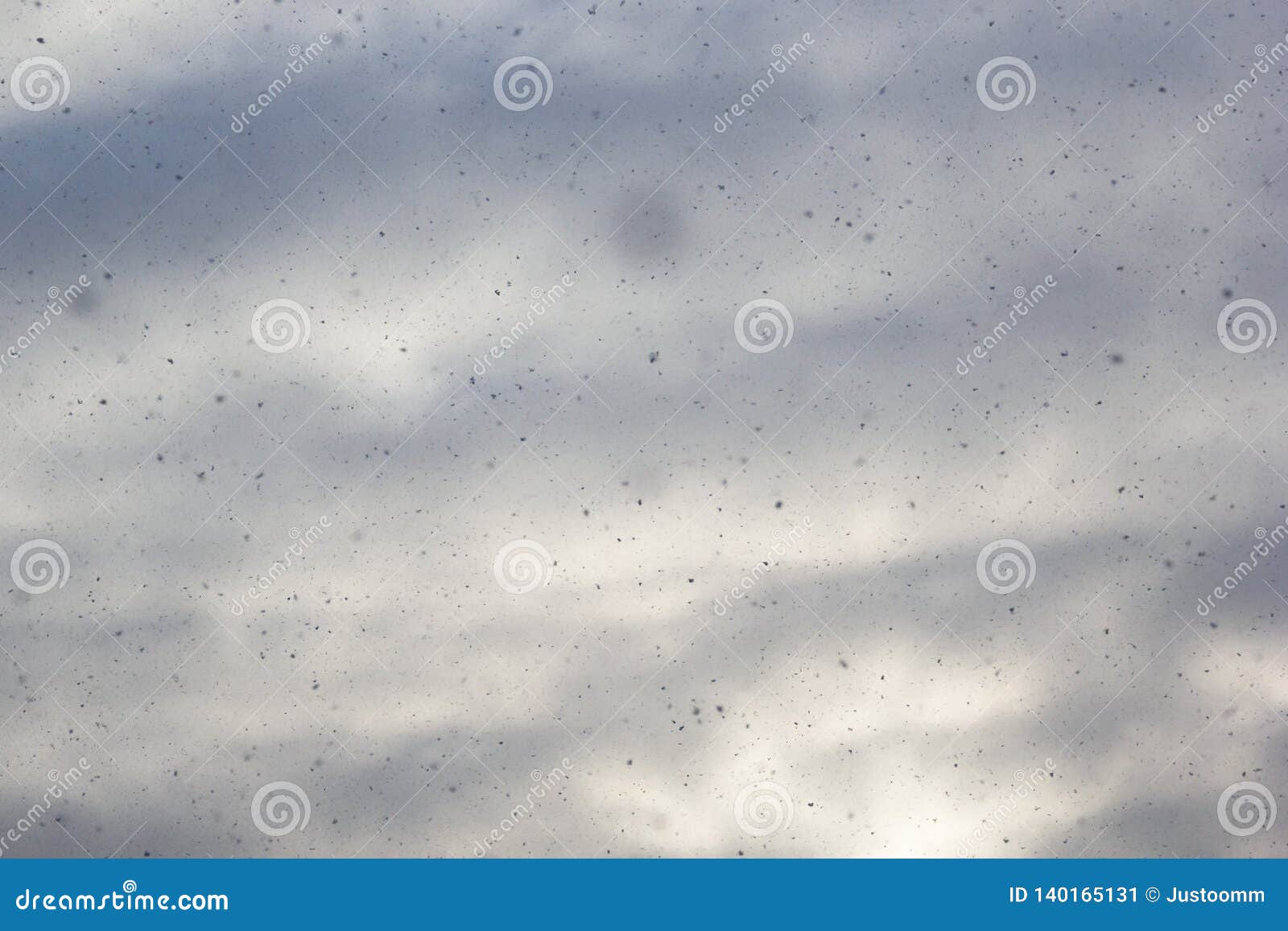 Falling Real Snowflakes on the Background of Clouds Stock Image - Image ...