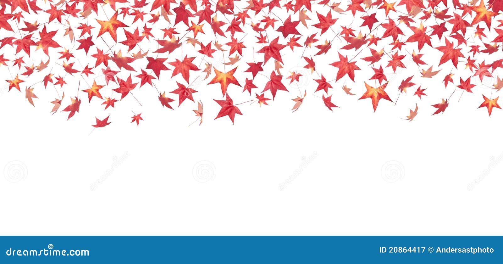 Falling red autumn leaves stock image. Image of autumn - 20864417