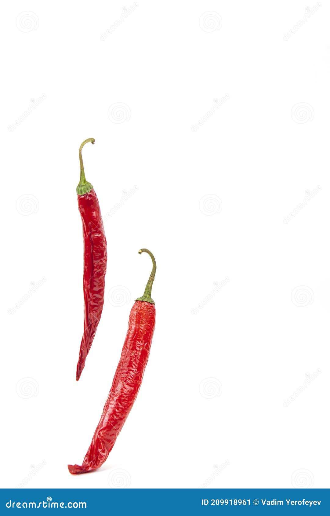 Falling Two Red Chili or Chilli Pepper on White Background Stock Image ...