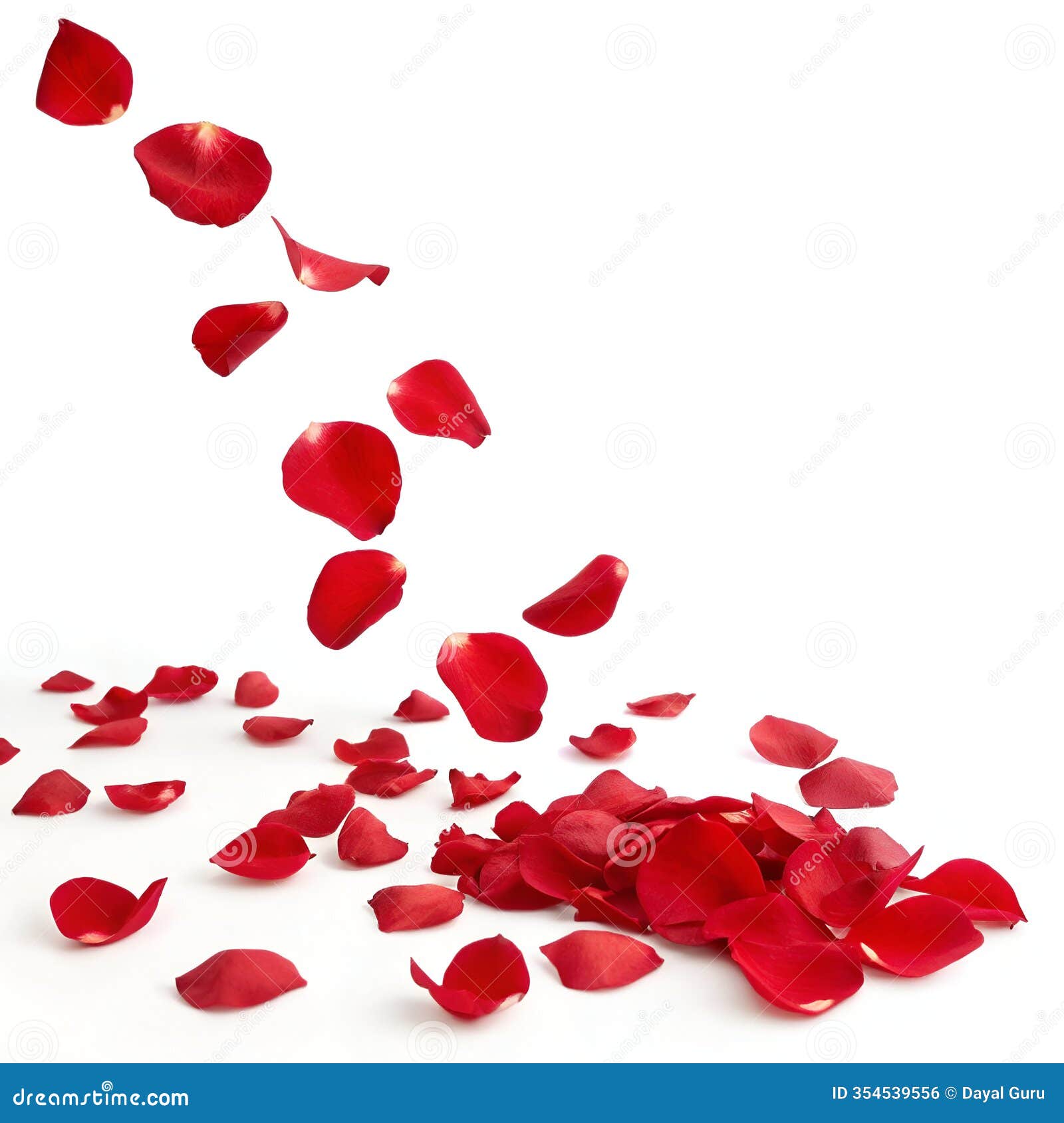 Falling Red Rose Petals Isolated on White Background Stock Illustration ...