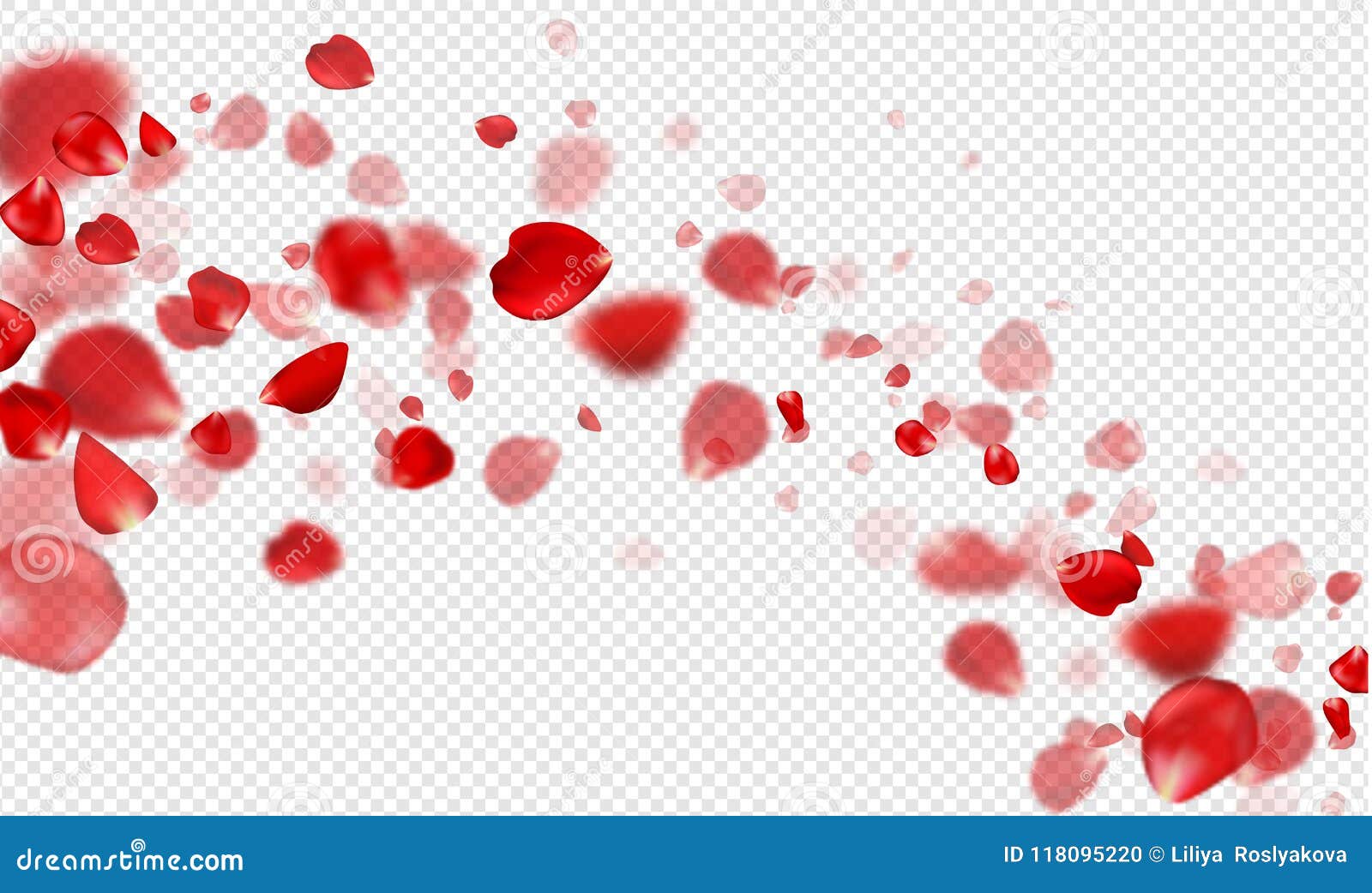 Falling Red Rose Petals on a Transparent Background.Vector Illustration ...