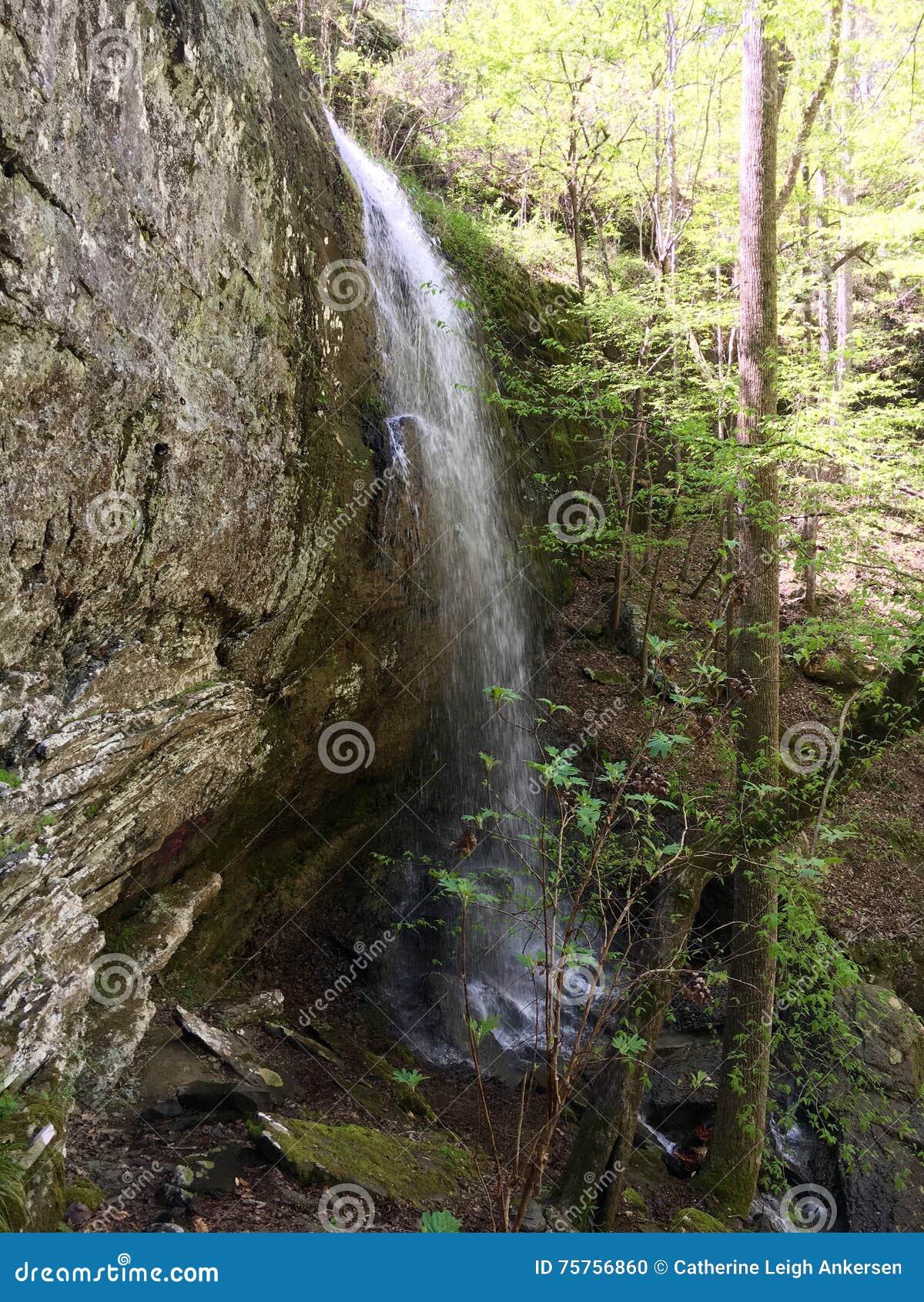 Falling Rock Falls stock photo. Image of beautiful, falls - 75756860