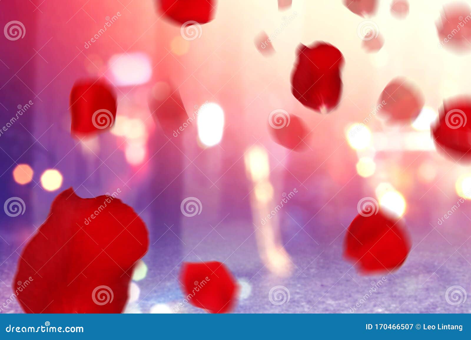 Falling rose petals stock image. Image of abstract, background - 170466507