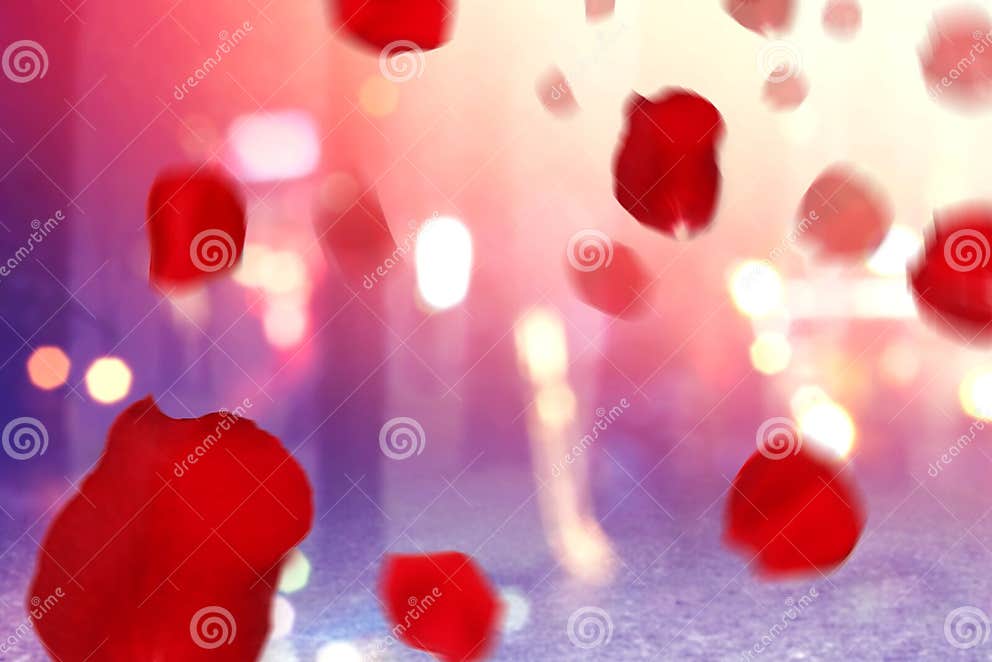 Falling rose petals stock image. Image of abstract, background - 170466507