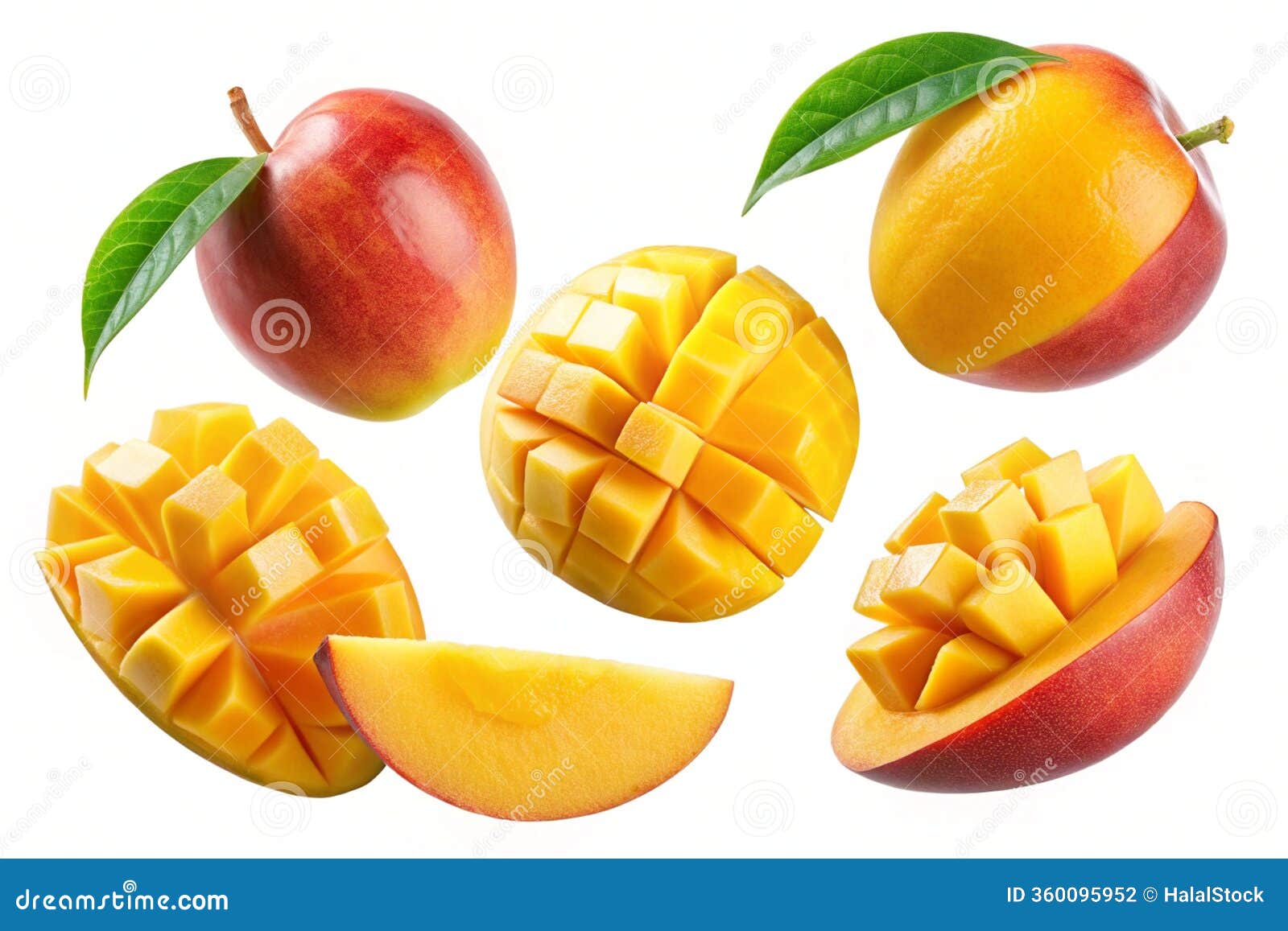 Sliced Mango. Hand Draw Technique. Line Art Cartoon Vector ...
