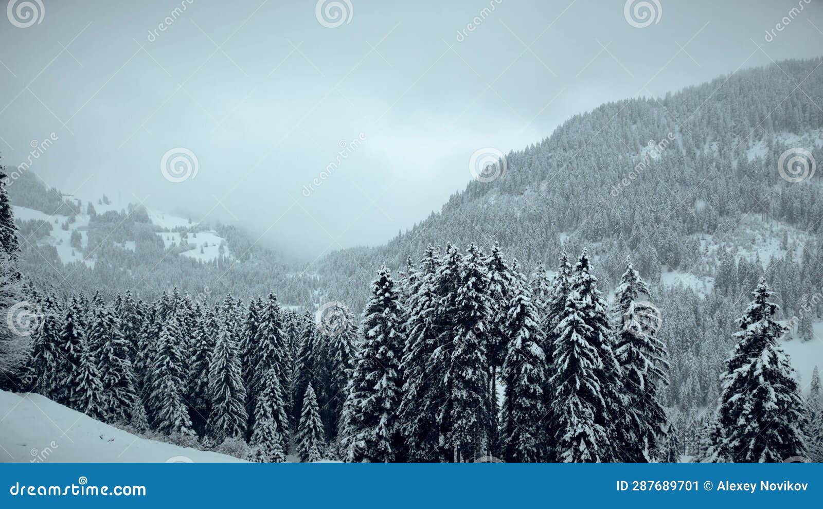 Falling Snow in the Alpine Forest, Switzerland Stock Image - Image of ...