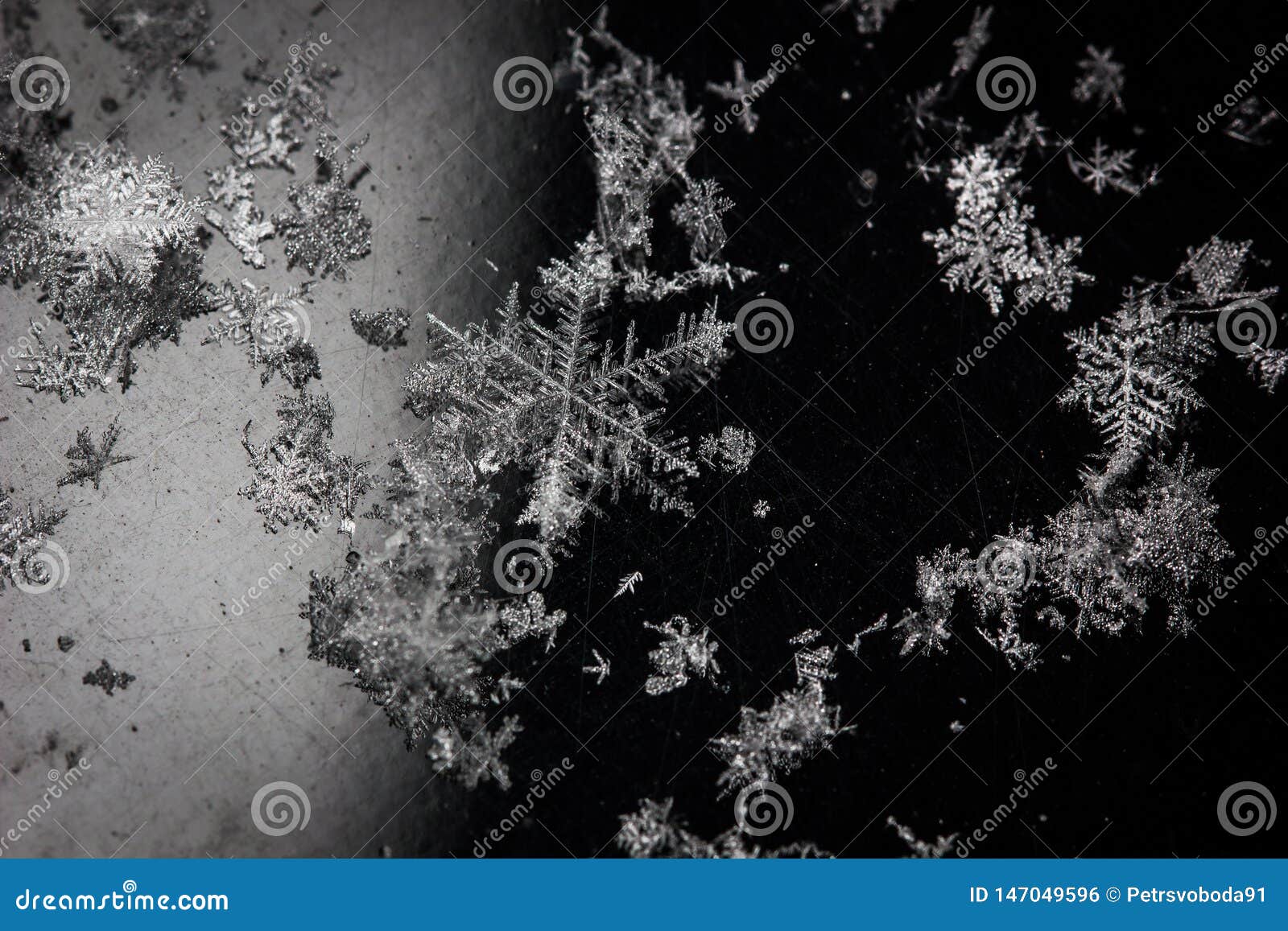 Falling Snow on the Black Shiny Reflective Background Stock Photo ...