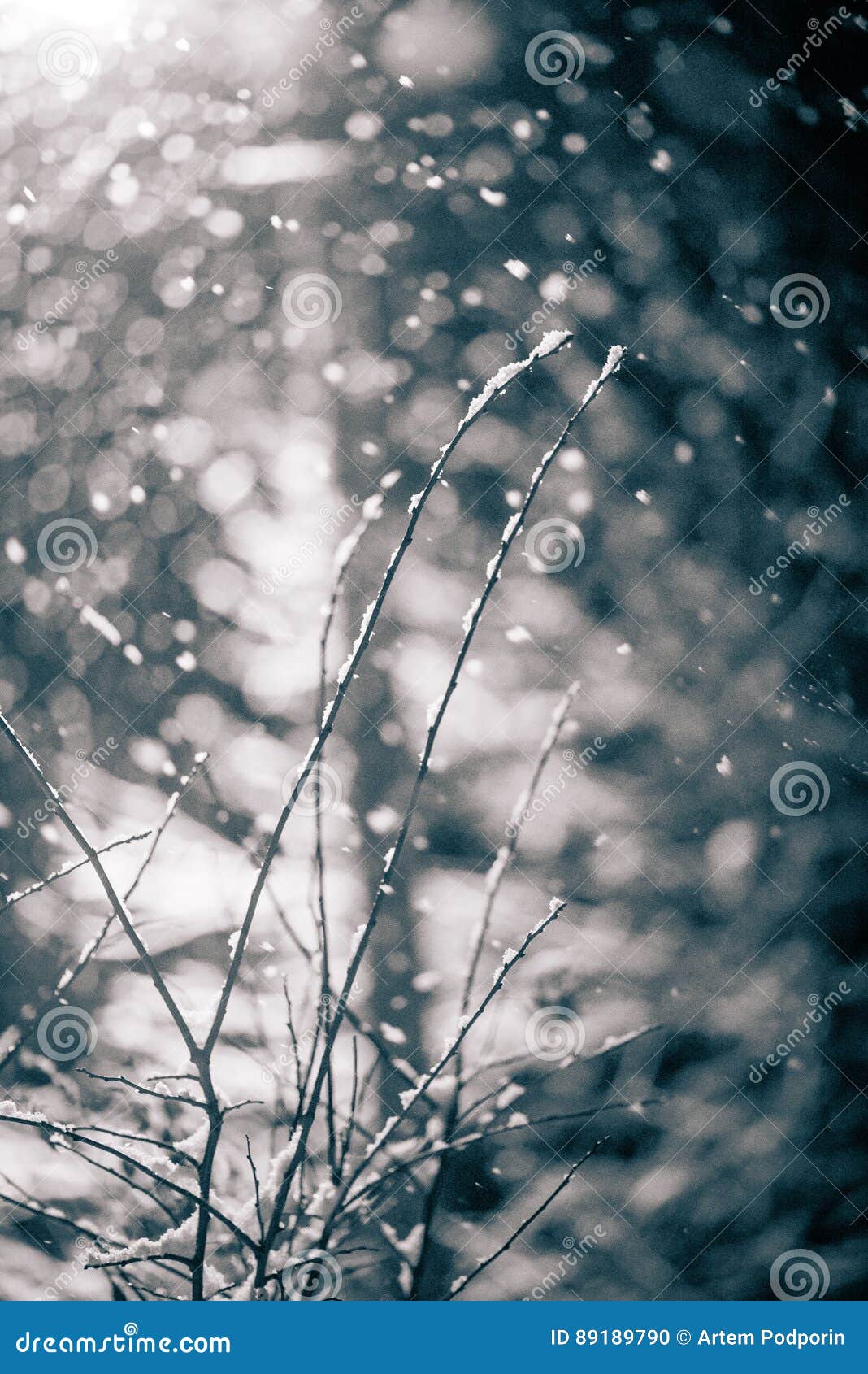 Falling snow at night stock photo. Image of beautiful - 89189790