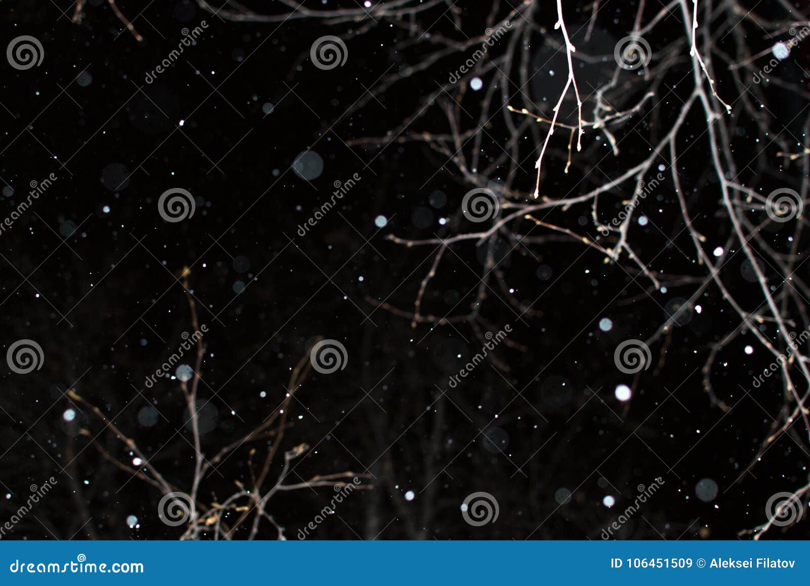 Falling snow in the night stock image. Image of crystal - 106451509