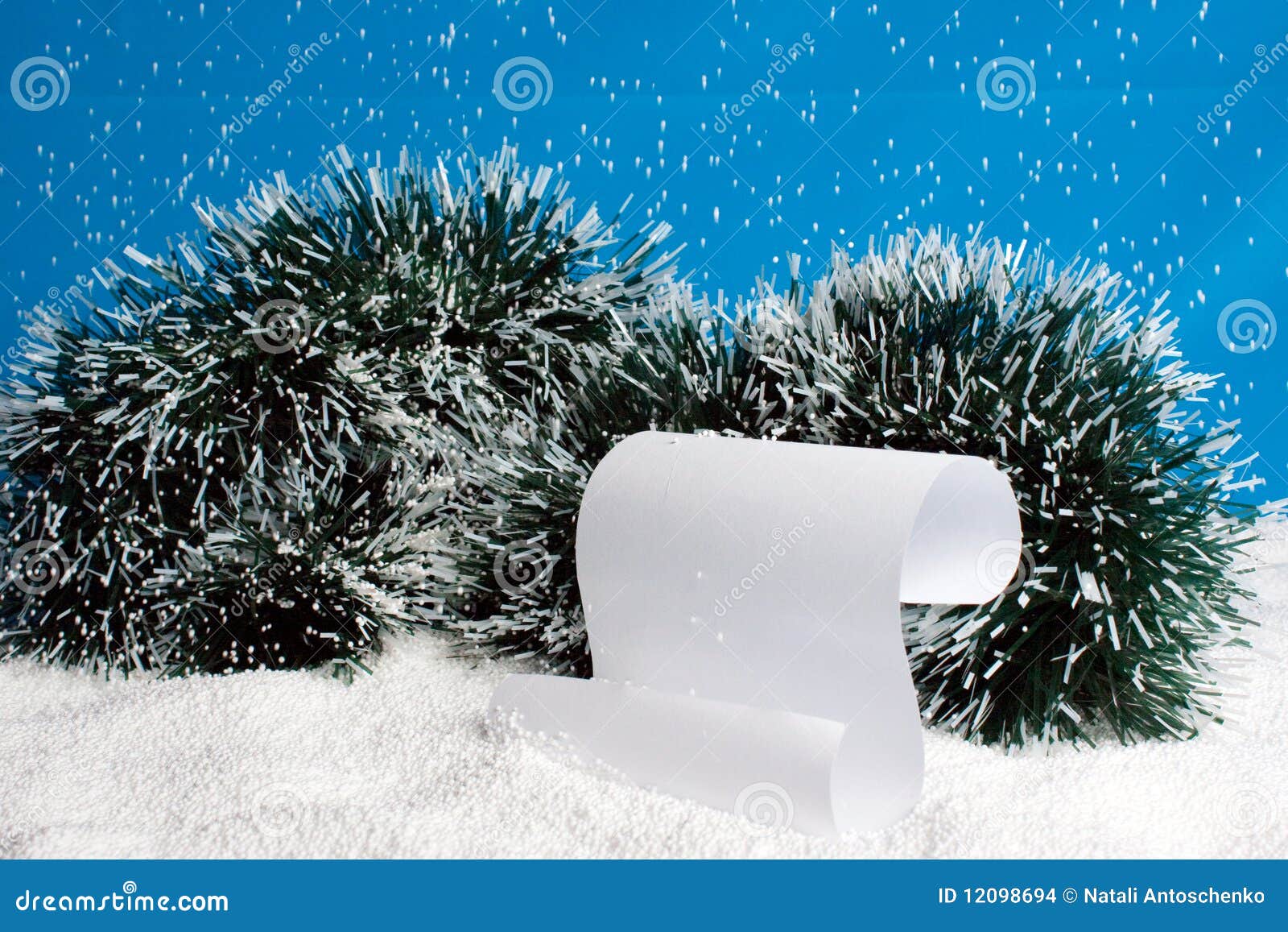 White Scroll Algae Padina Jamaicensis Stock Image | CartoonDealer.com ...