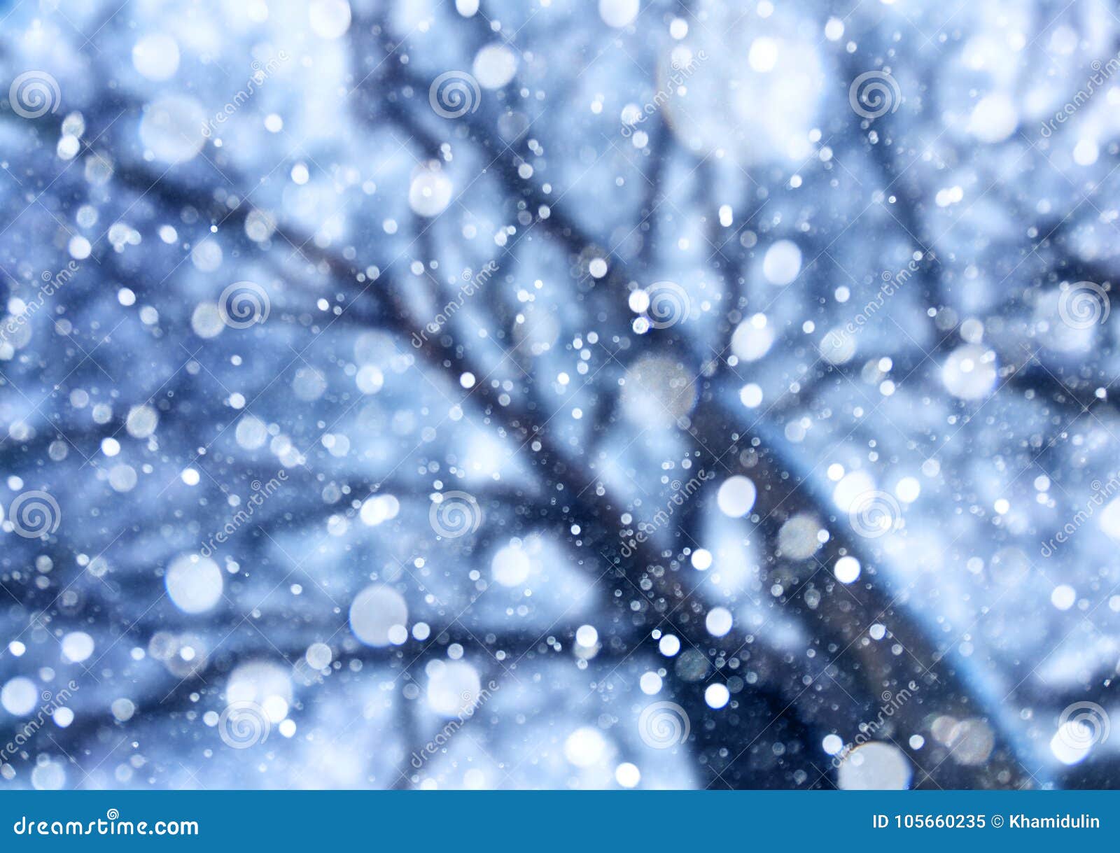 Falling Snow from the Sky Under the Trees. Stock Image - Image of blue ...