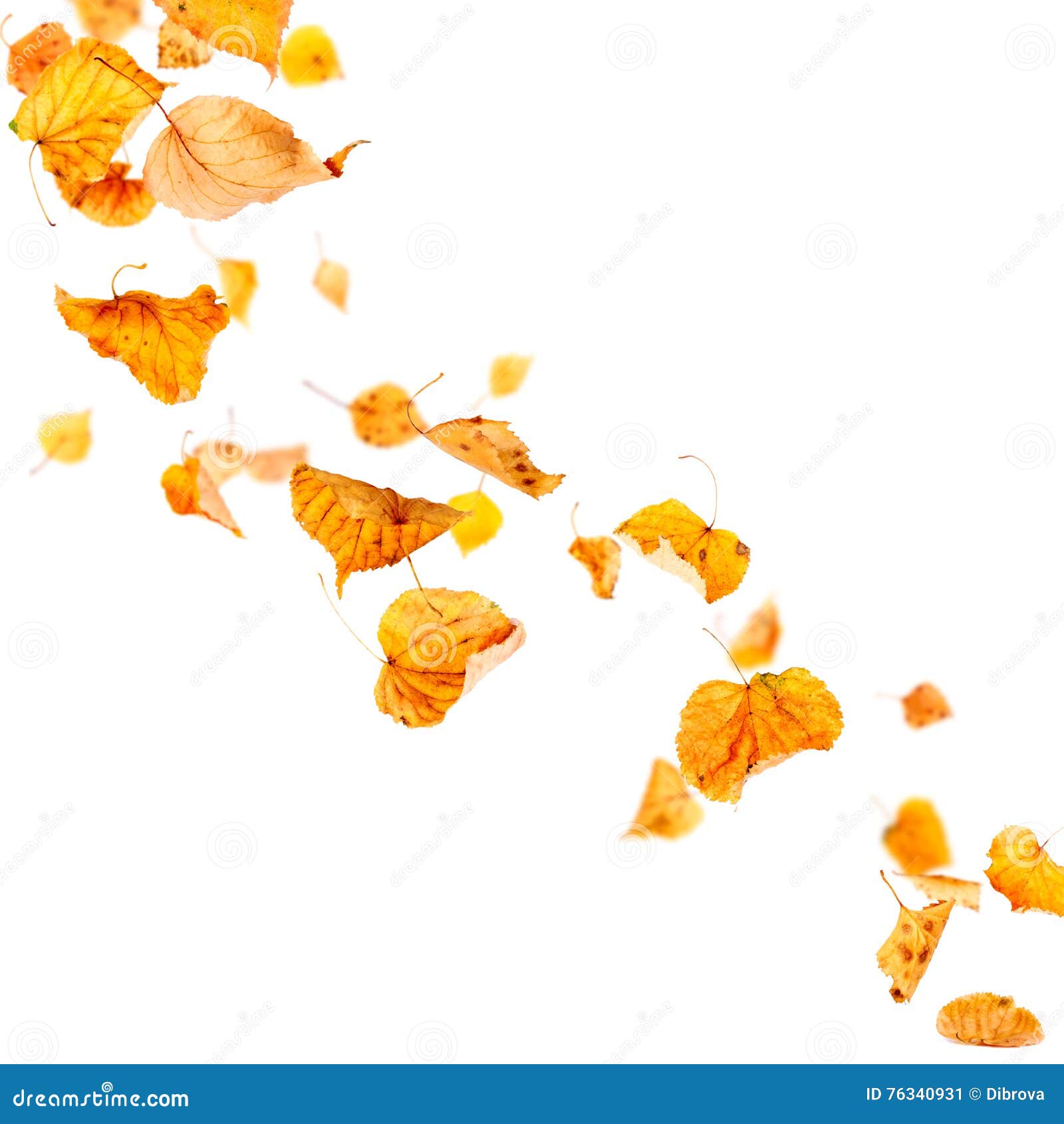 Falling and Spinning Autumn Leaves Stock Image - Image of woods, autumn ...