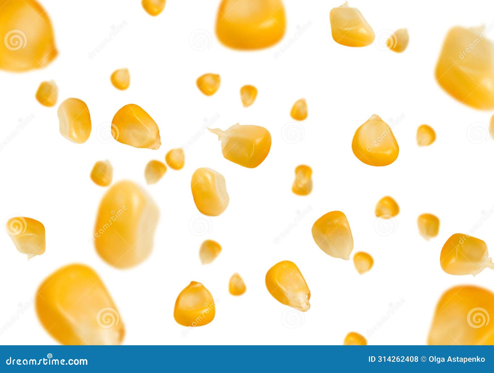 Falling Sweet Corn Kernels Isolated on White Background Stock Photo ...